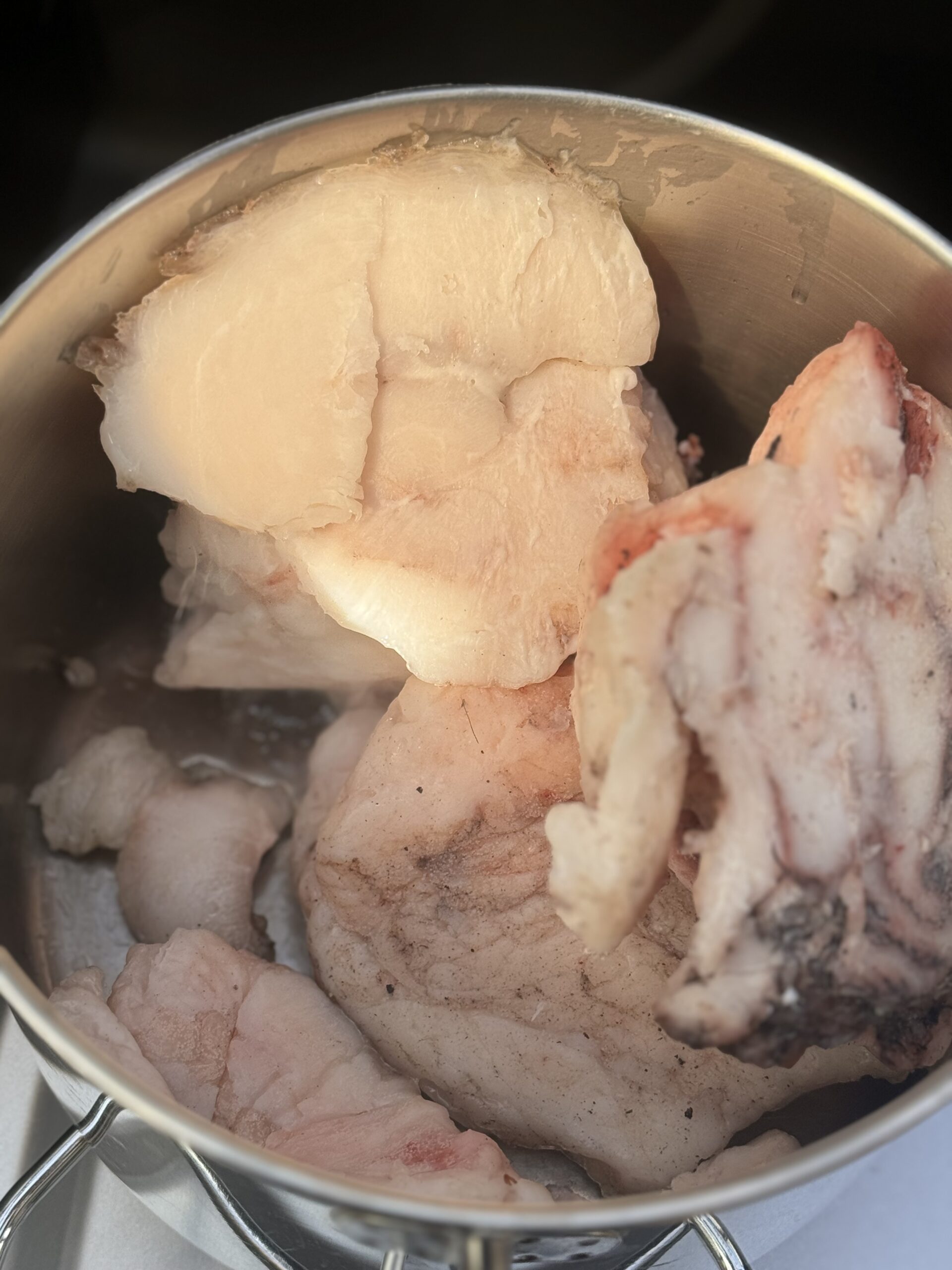 DIY Folk Skills: Rendering Bear Tallow - Gathering Fire